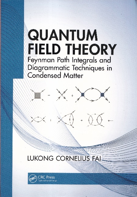 Quantum Field Theory : Feynman Path Integrals and Diagrammatic ...